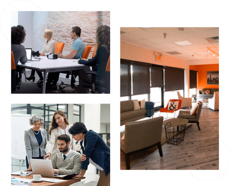 BRIEF Courses | The Brief Lab